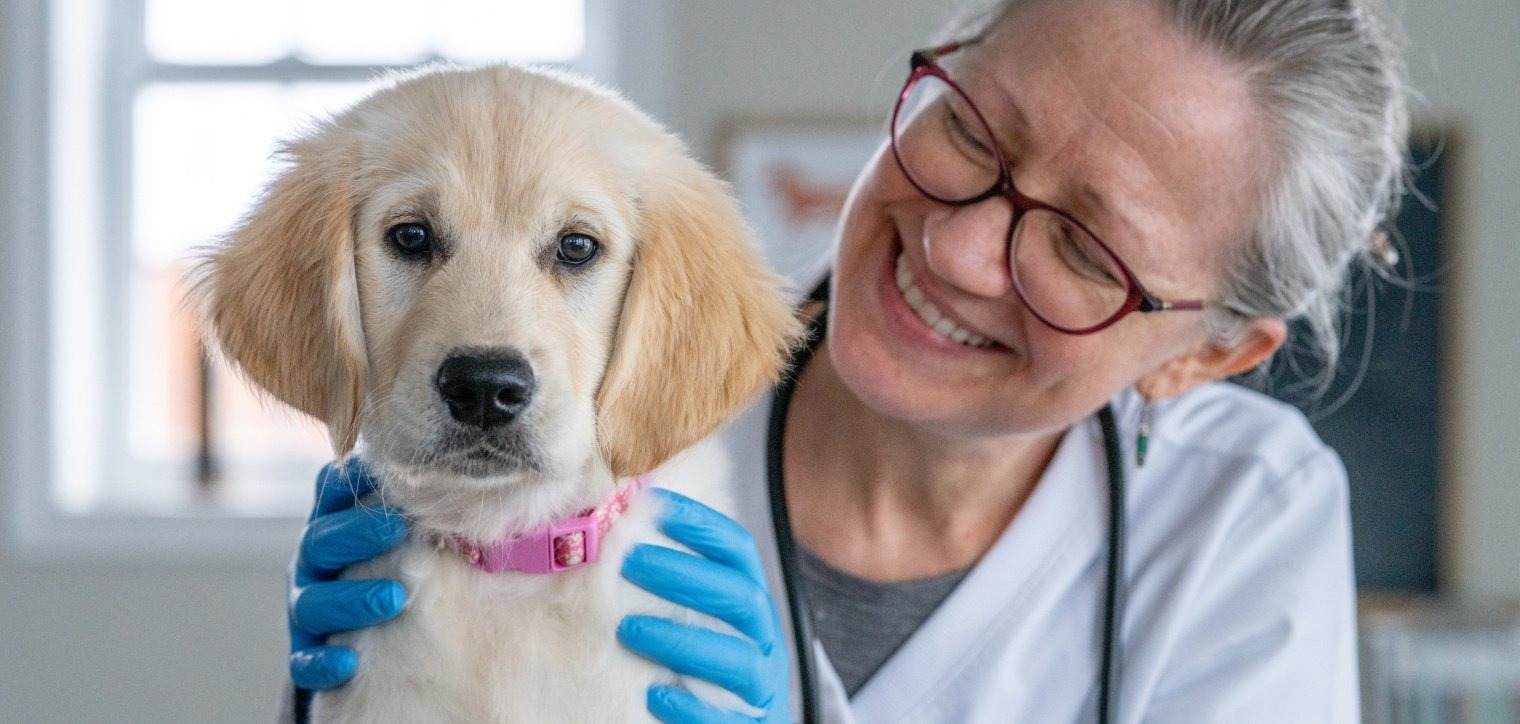 Opportunities and Challenges for Animal Health Pharmaceutical Companies ...